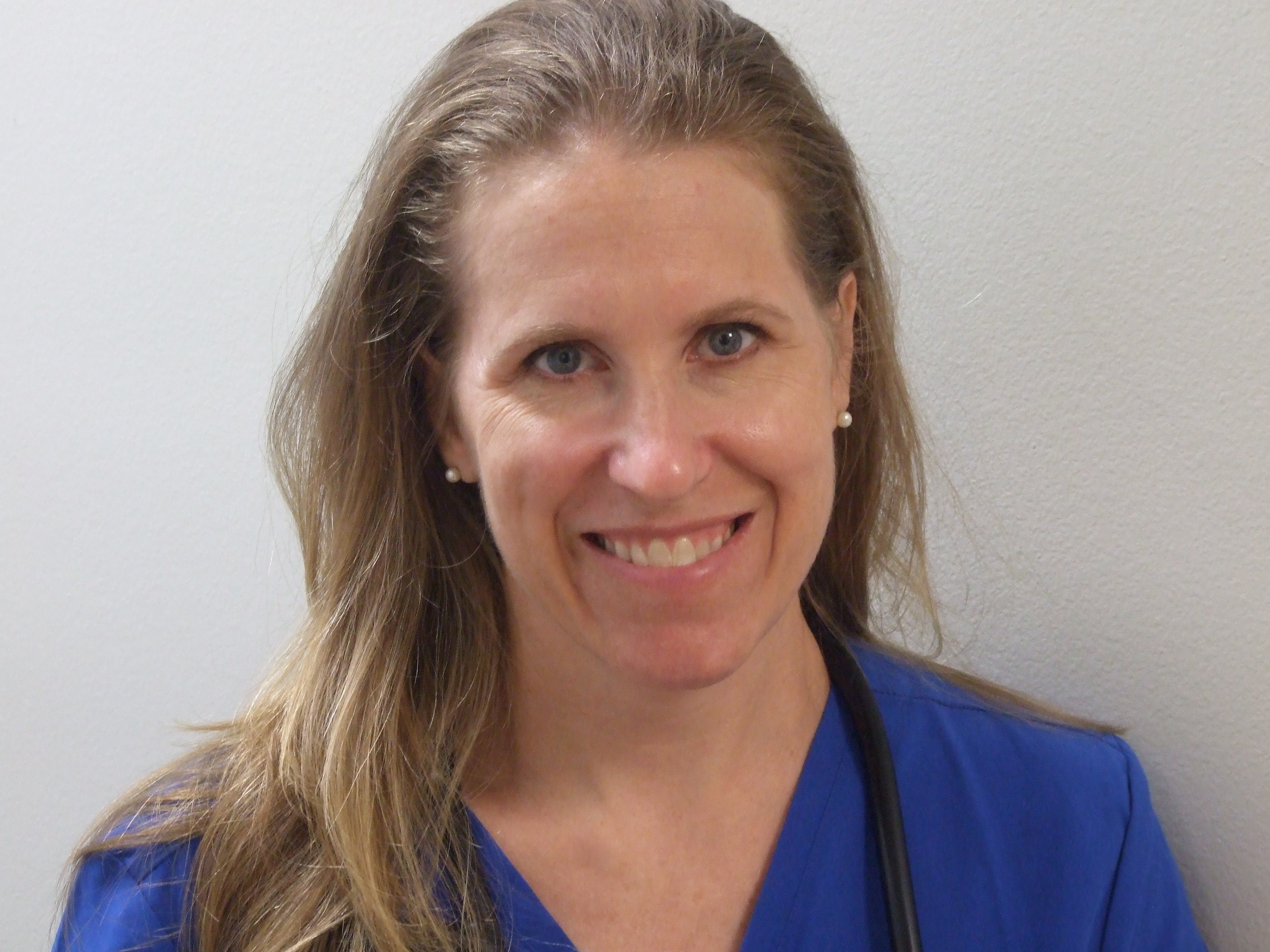 Canine Rehabilitation in Melbourne | Animal Specialty & Emergency ...