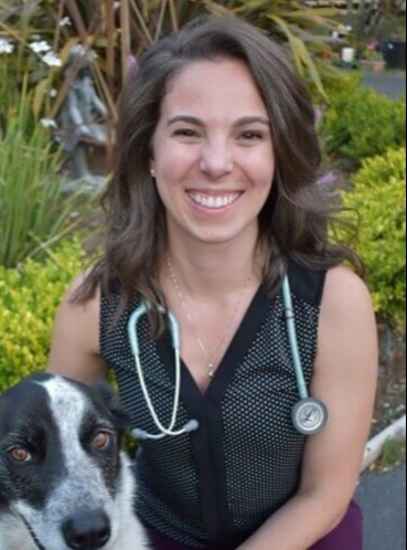 Experienced Veterinarians in Brentwood, CA | Brentwood Family Pet Care