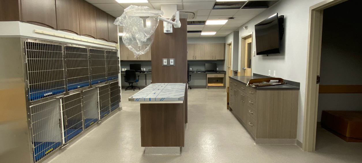 Animal Hospital in West Springfield, MA | Veterinary Emergency ...