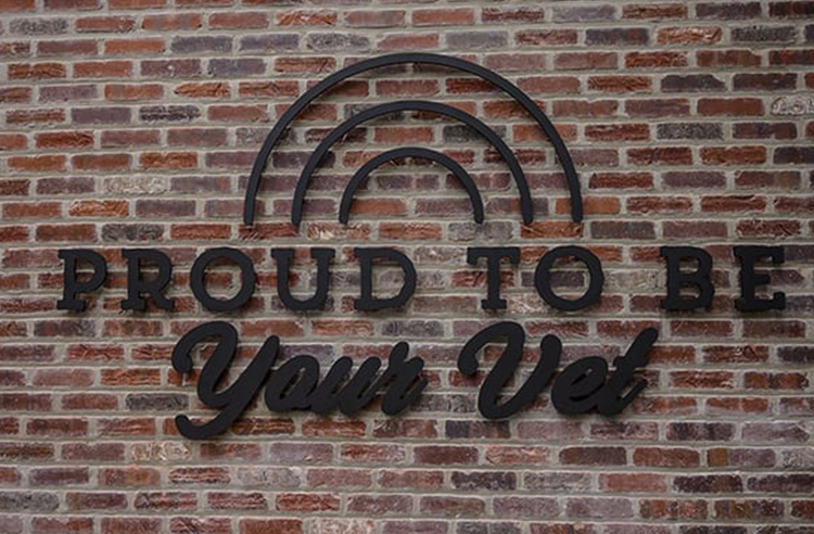 Premier Veterinary Care in Chicago, IL | Wrigleyville Veterinary Center