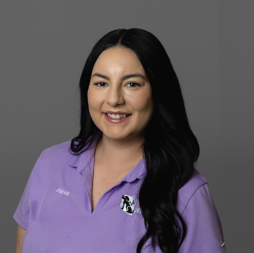 Emergency Veterinarian | Arizona Veterinary Emergency & Critical Care ...