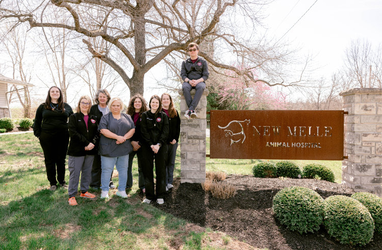 Our Veterinarians in New Melle, MO | McCauley Animal Clinic & New Melle Animal Hospital