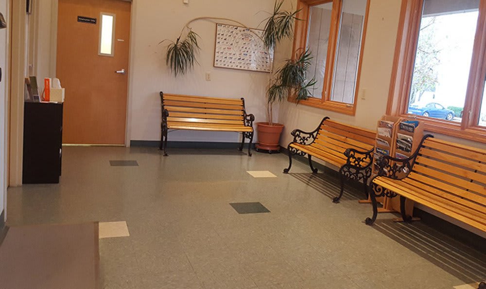 Gallery | College Mall Veterinary Hospital