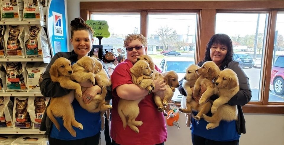 Puppy Pre-School | New Haven Pet Hospital