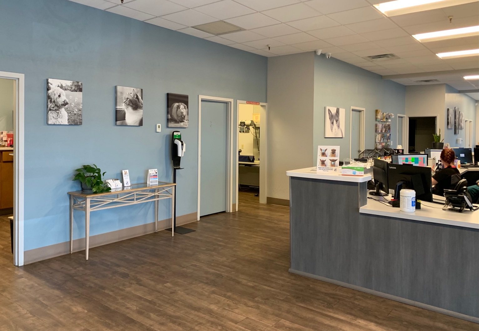 Gallery | All Creatures Animal Clinic