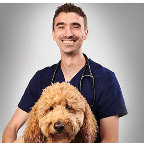 Dr. Tim Sherer | Metropolitan Veterinary Hospital