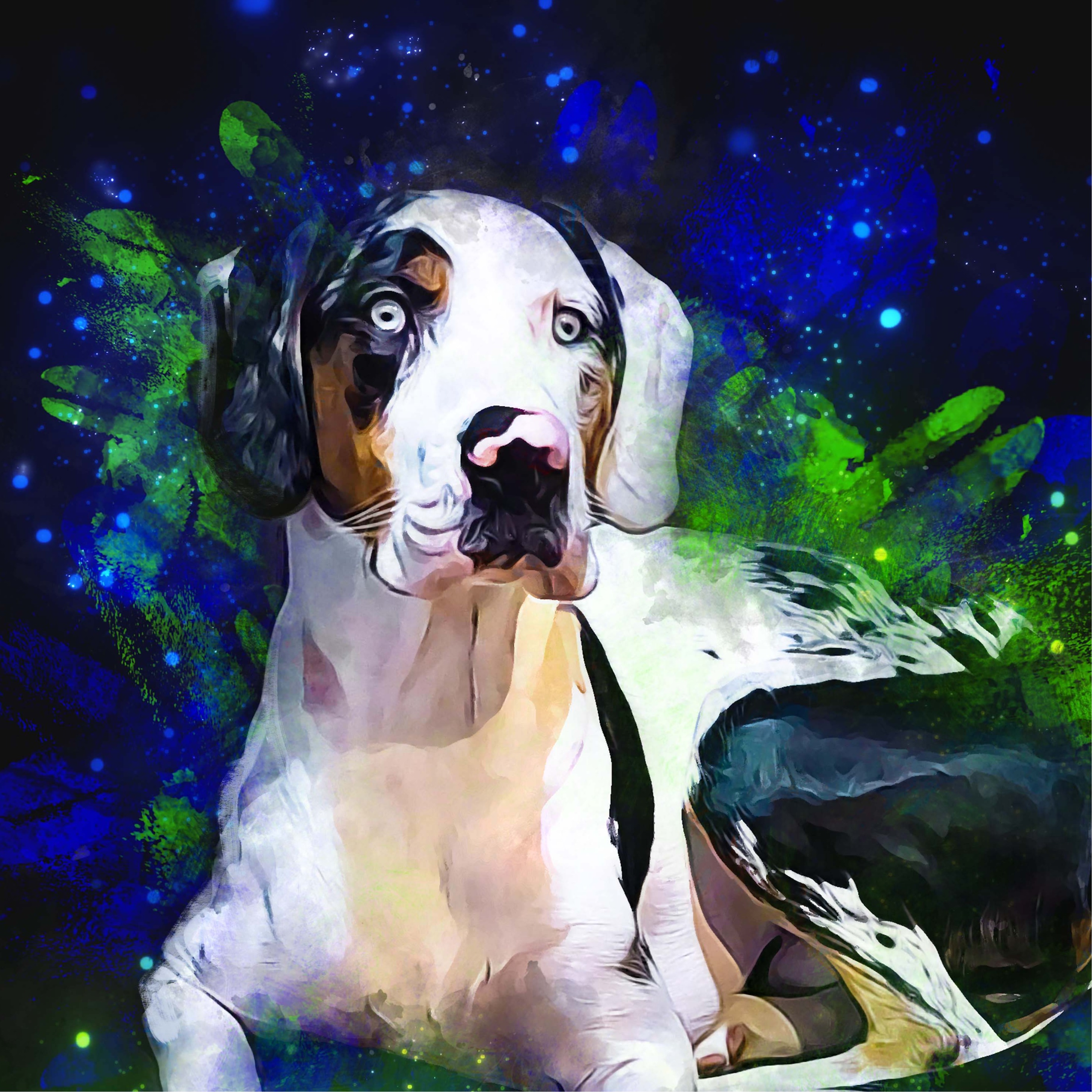 Our Animal Hospital Staff in Ancaster, ON | Beattie Pet Hospital - Ancaster