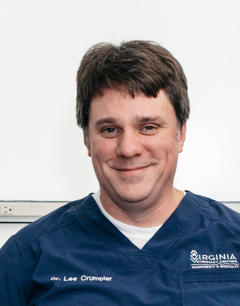 Our Expert Veterinarians in Fredericksburg, VA, Richmond, VA, and ...