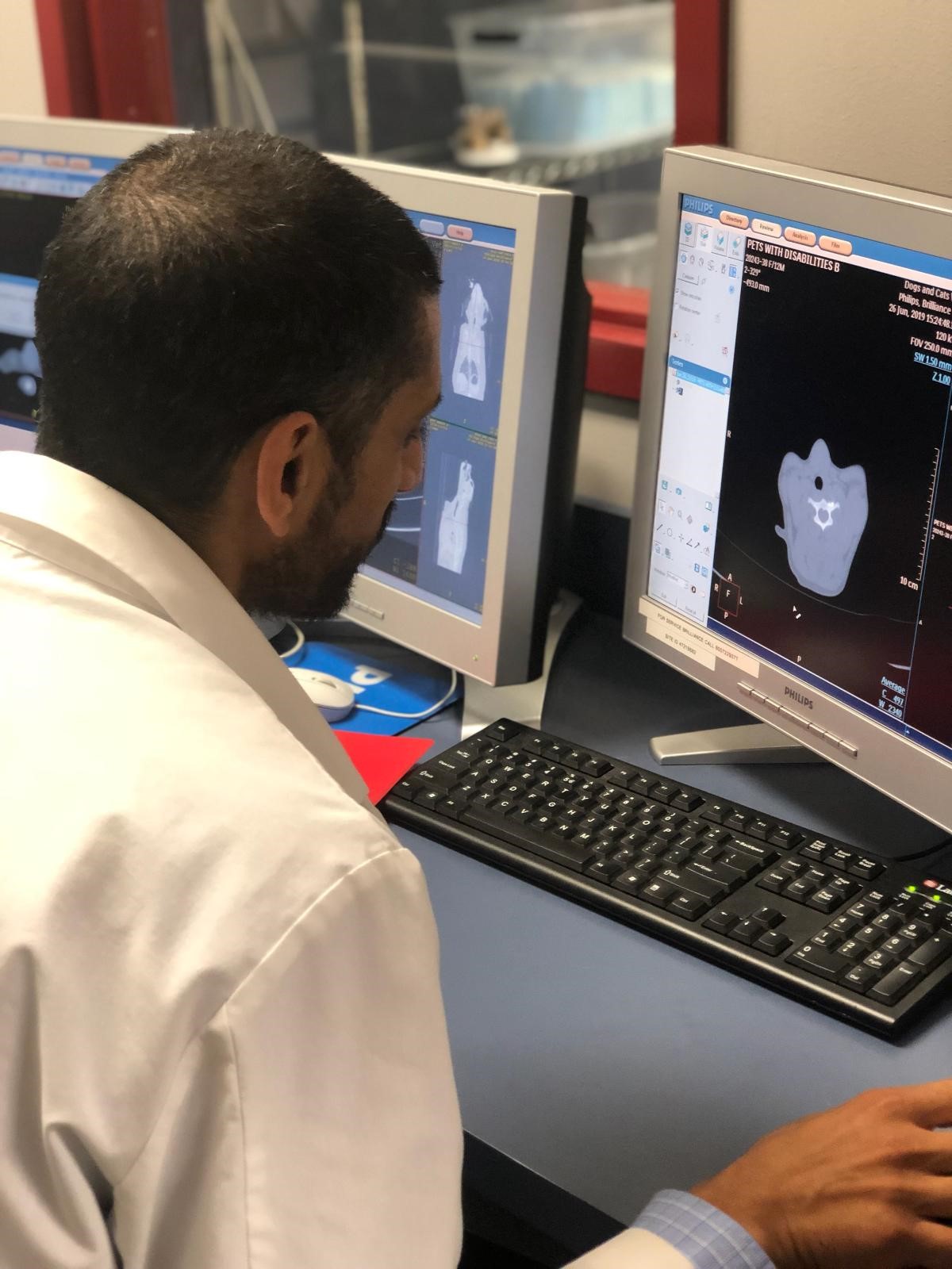 Veterinary Neurology in Bowie, MD | Dogs and Cats Emergency & Specialty