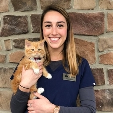 Our Veterinarians in Nashville, TN | Hillsboro Animal Hospital