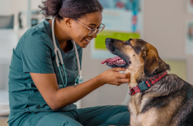 Homepage | Acoma Animal Clinic