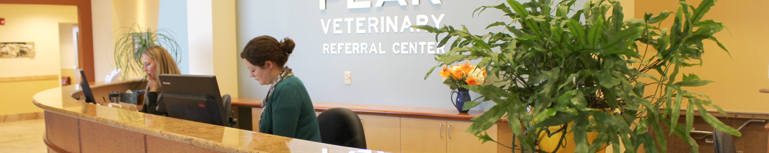 Veterinary Care in Williston, VT | Peak Veterinary Referral Center