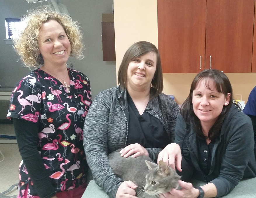 Our Team | Seven Bends Veterinary Hospital