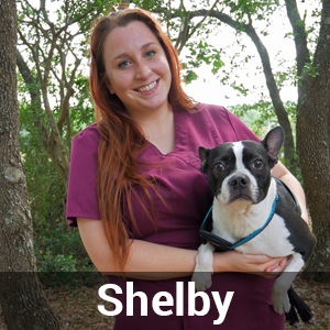 Our Animal Hospital Staff | Dripping Springs Animal Hospital