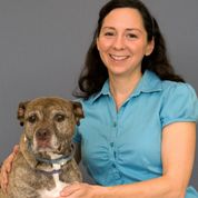 Pender Veterinary Centre Chantilly Campus | Pender Veterinary Centre