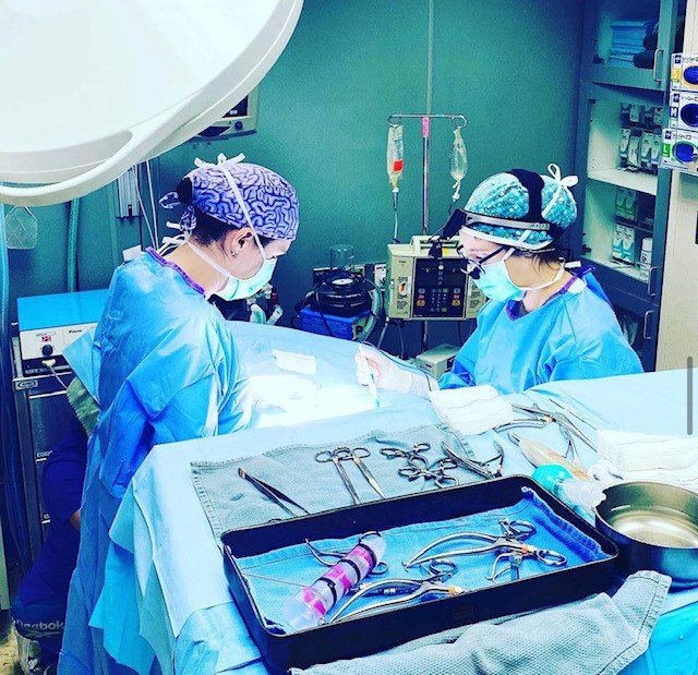 Internships | Metropolitan Veterinary Hospital