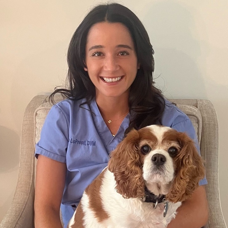 Our Expert Veterinarians in New York, NY | Tribeca Soho Animal Hospital