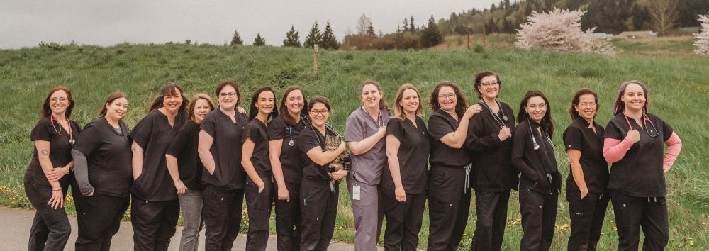 Staff | Greywolf Veterinary Hospital