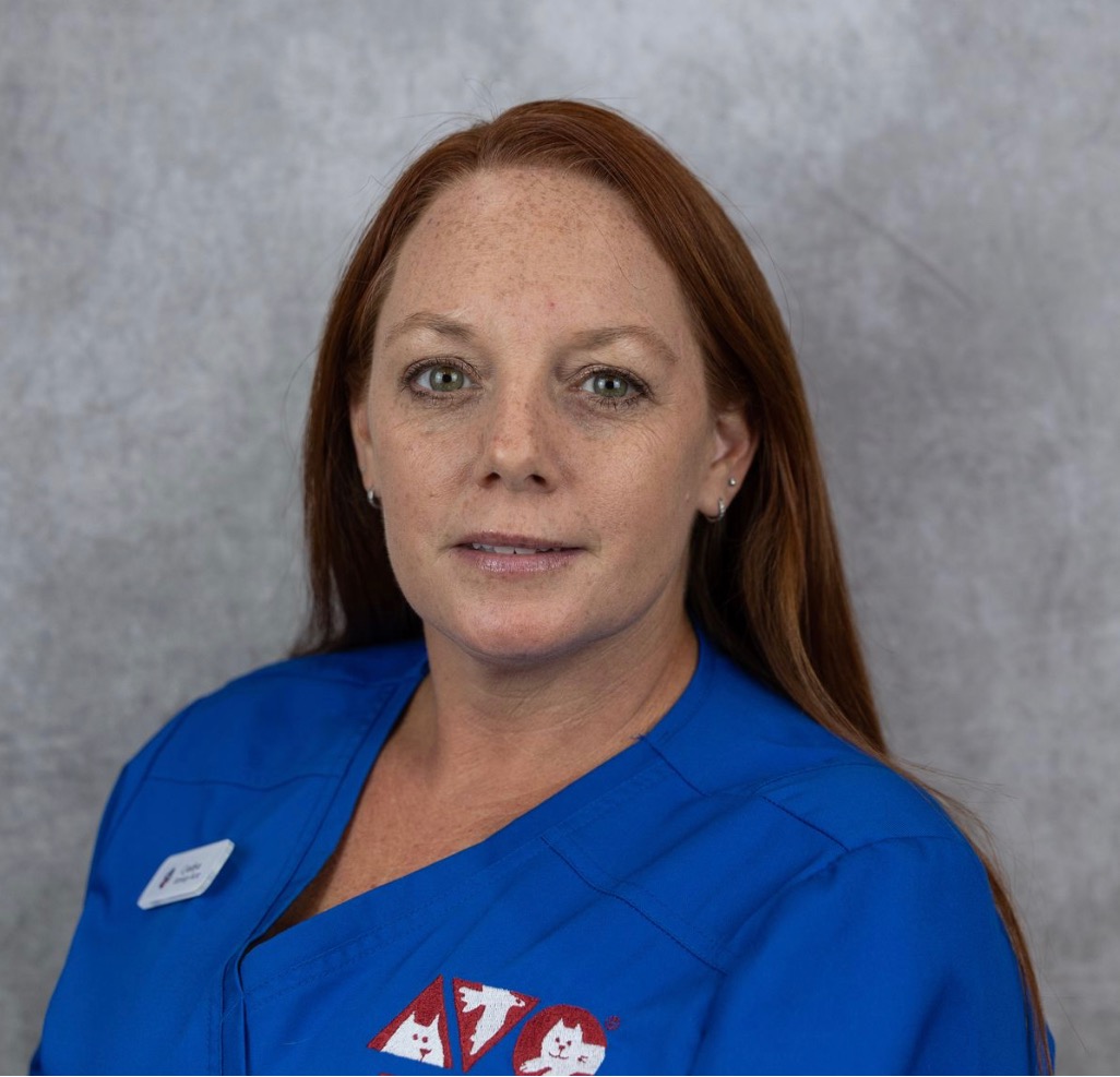 Cynthya | The Animalife Veterinary Center