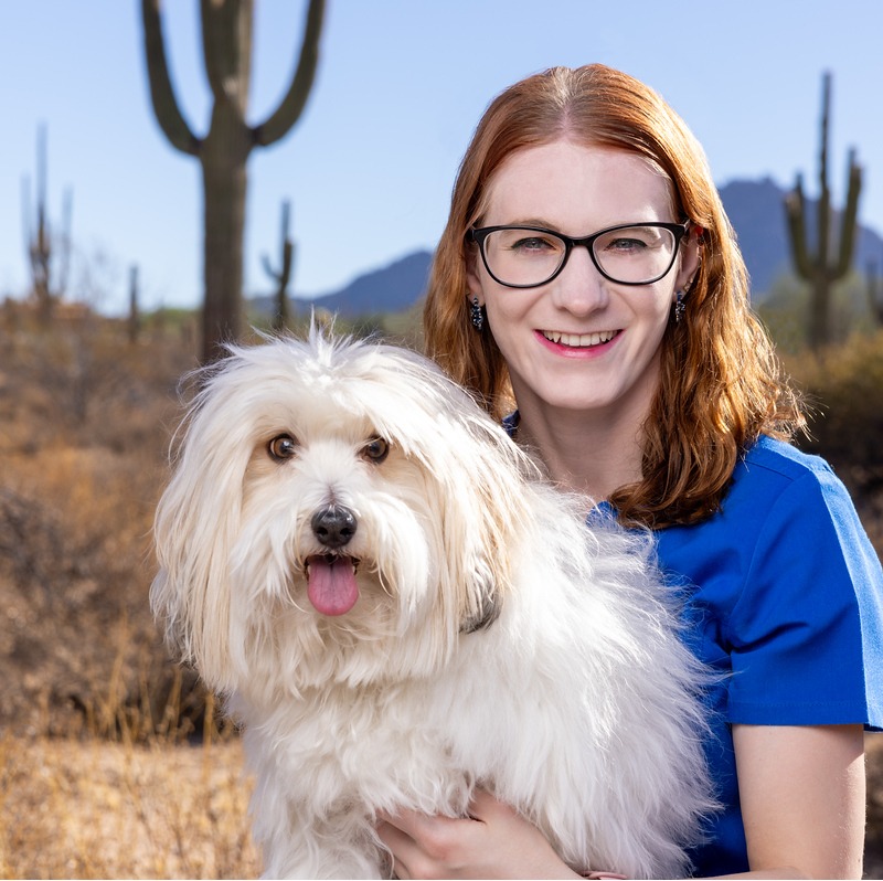 Our Veterinarians in Scottsdale, AZ | Pima North Animal Hospital