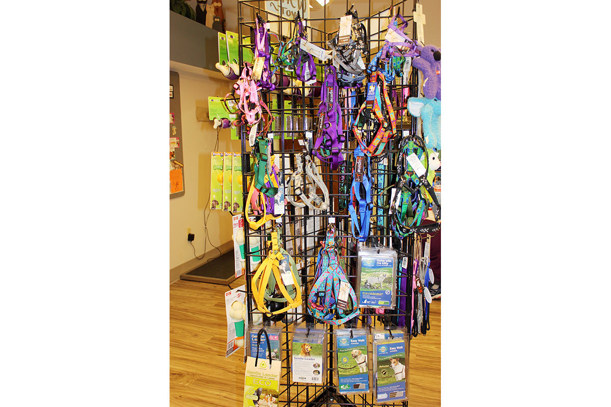 Our Animal Hospital | New Haven Pet Hospital