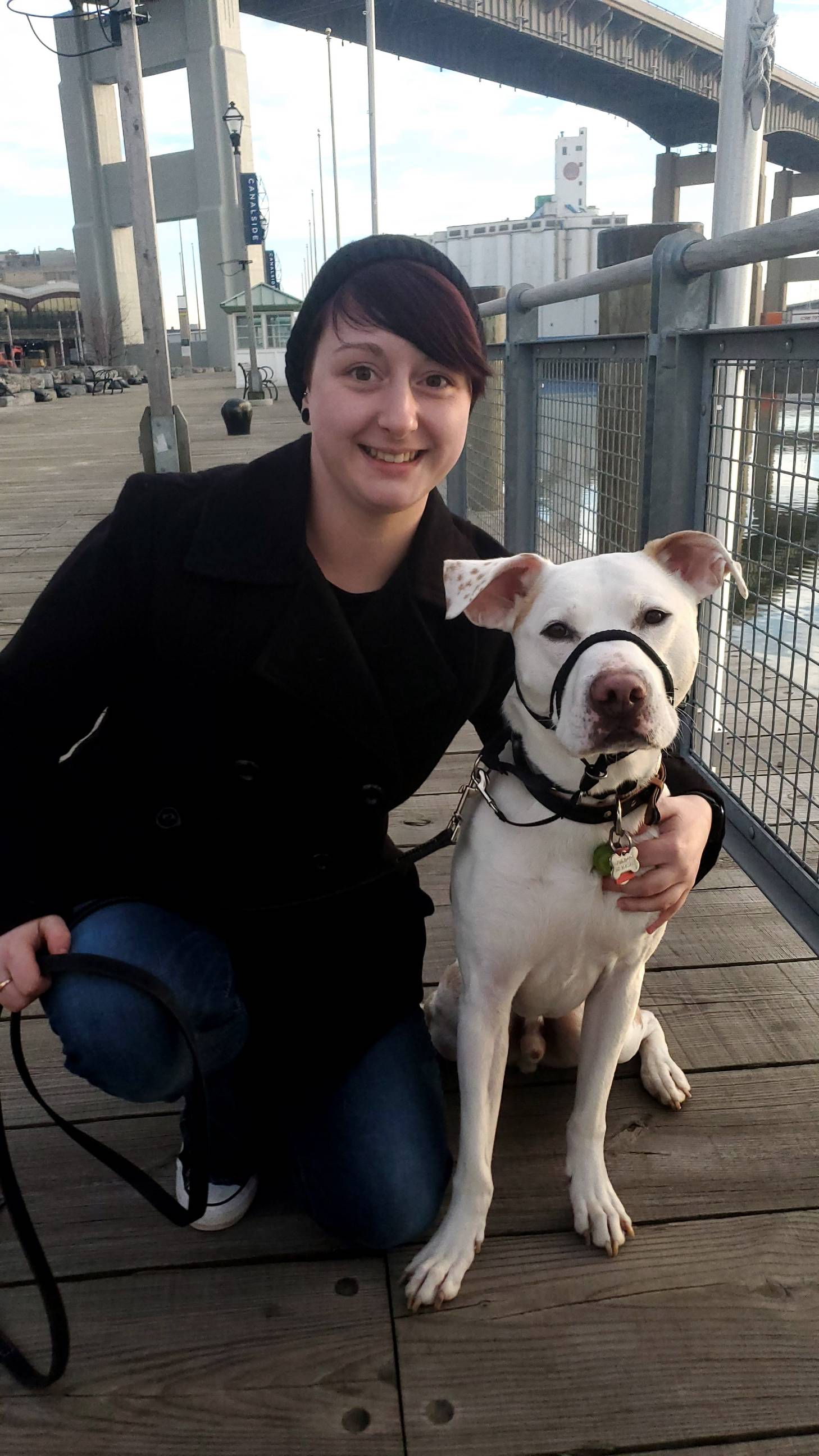 Our Team | City Creatures Animal Hospital