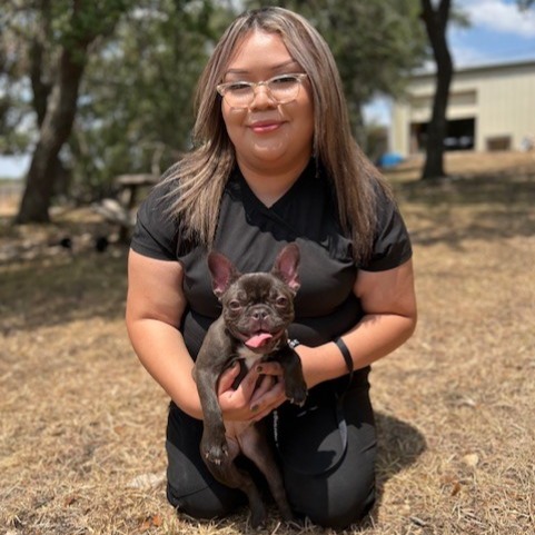 Our Animal Hospital Staff | Dripping Springs Animal Hospital