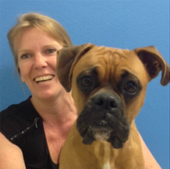 Our Veterinarians in Ormond Beach, FL | Pet Street Veterinary Care Center