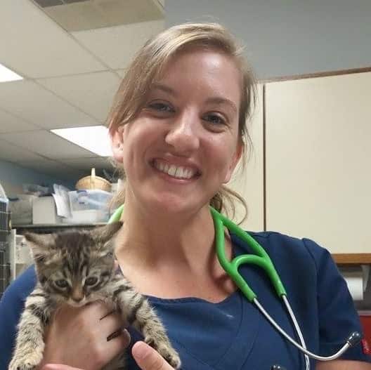 Amber, LVT | Strawbridge Animal Care