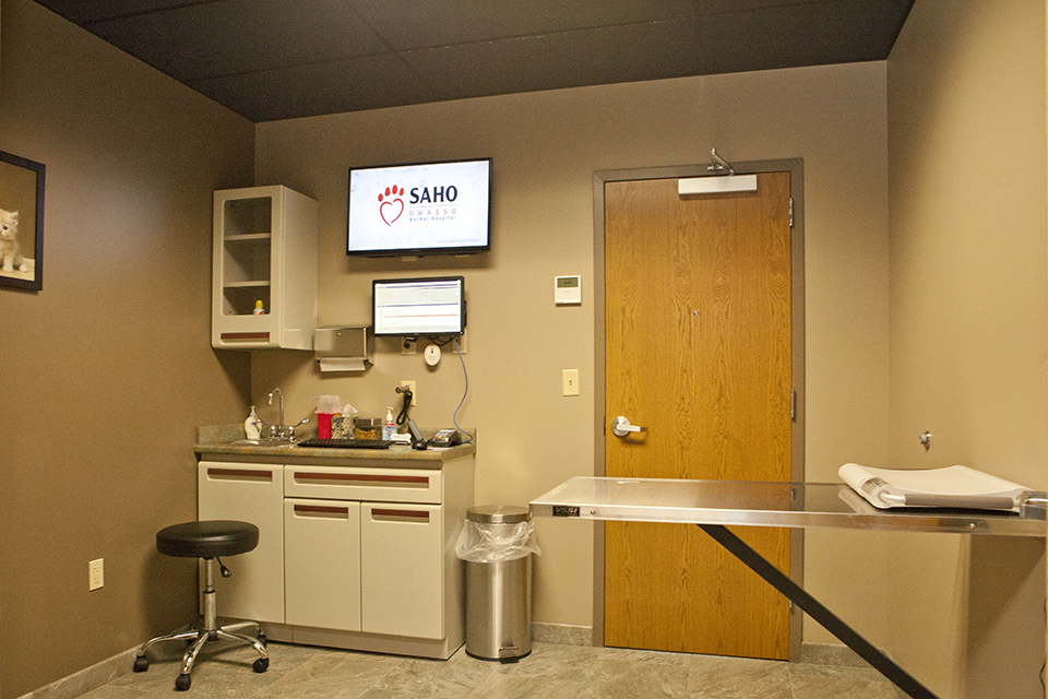 Animal Hospital in Owasso, OK | SAHO Animal Hospital