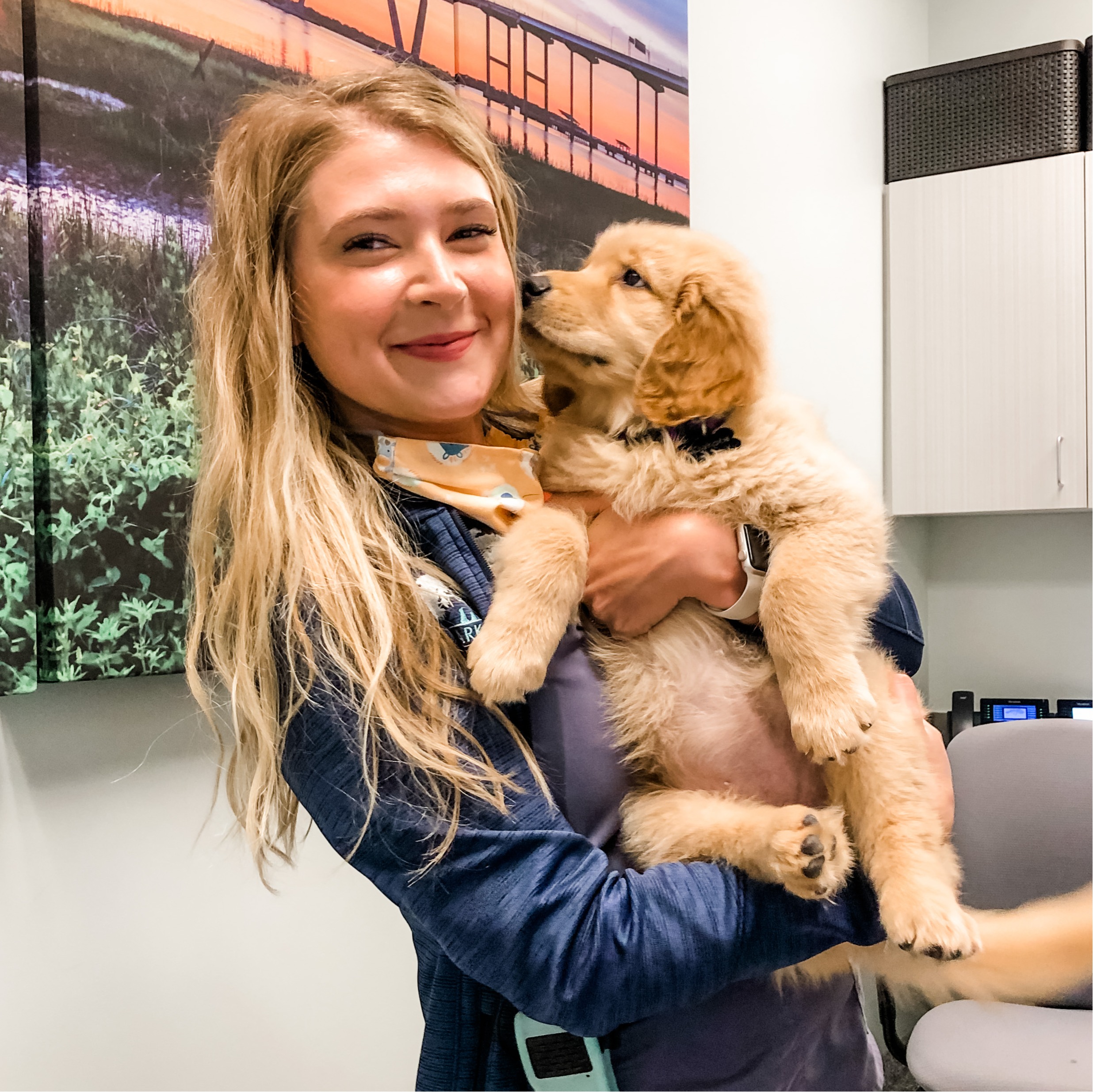 Experienced Veterinarians in Mount Pleasant, SC | Park West Veterinary ...