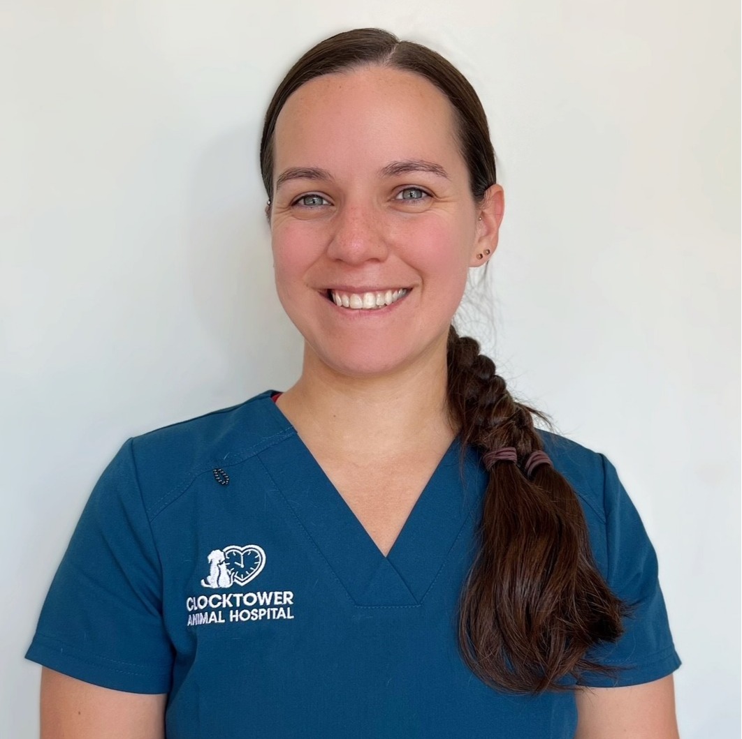 Our Expert Veterinarians in Herndon, VA | Clocktower Animal Hospital