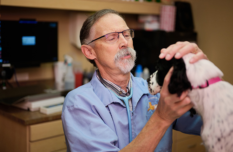 Book Appointment | Missoula Vet Clinic