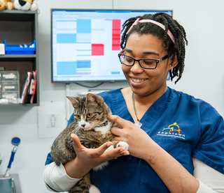 About Us | Seaport Animal Hospital