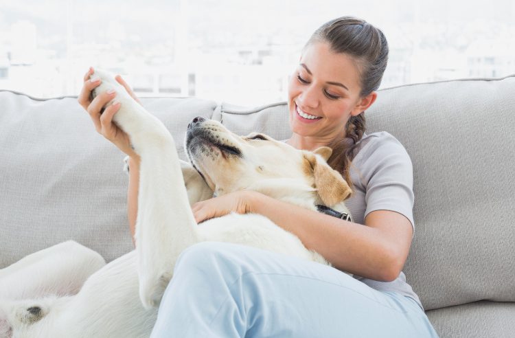 Financing | The KAAWS Clinic at Cypress