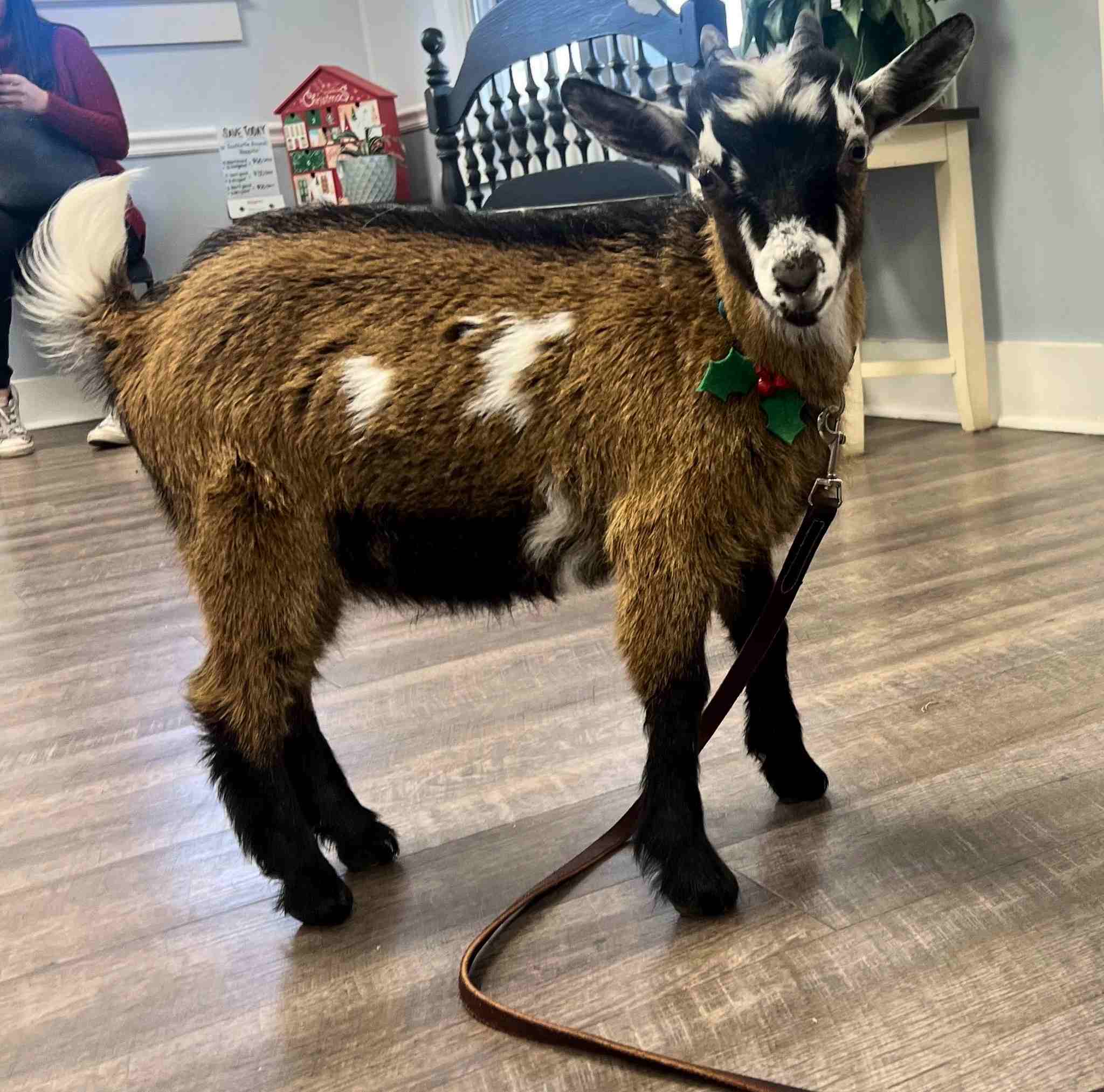 Hospital Tour | Faulkville Animal Hospital