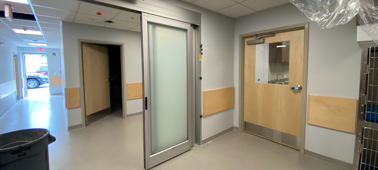 Animal Hospital in West Springfield, MA | Veterinary Emergency ...