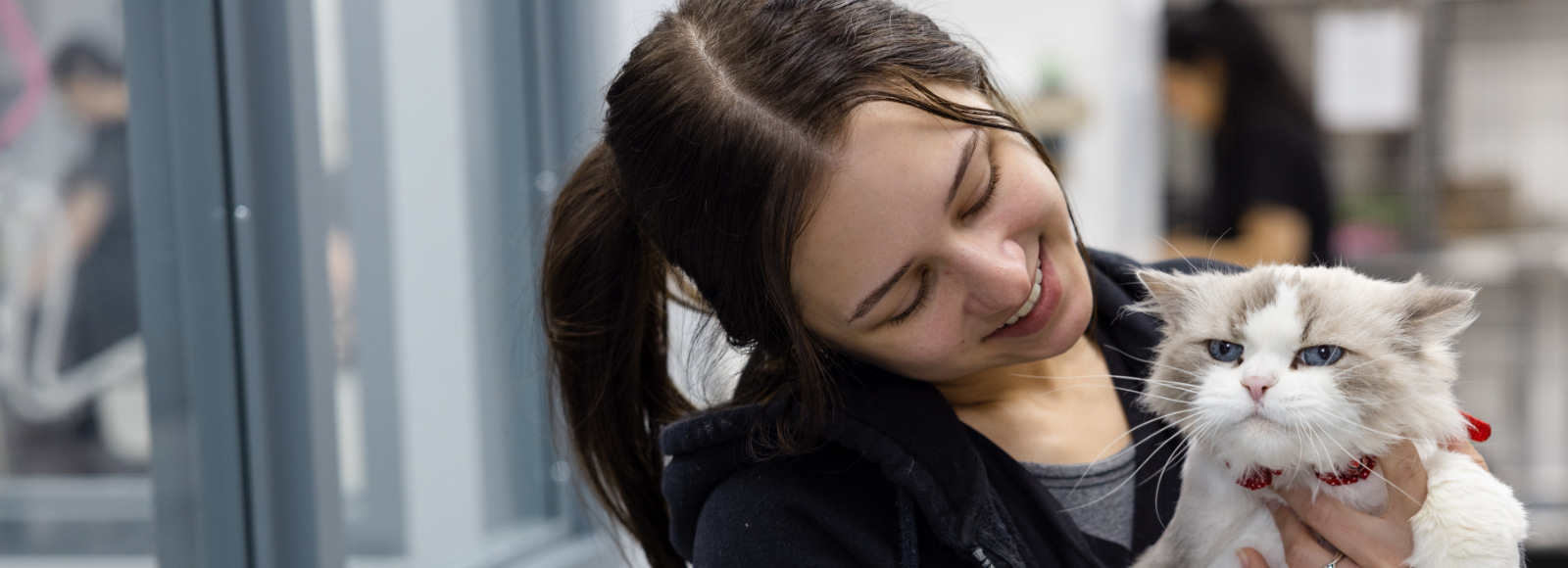 Animal Hospital in Kelowna, BC | Burtch Animal Hospital