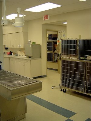 Gallery | Small Animal Hospital