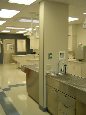 Gallery | Small Animal Hospital