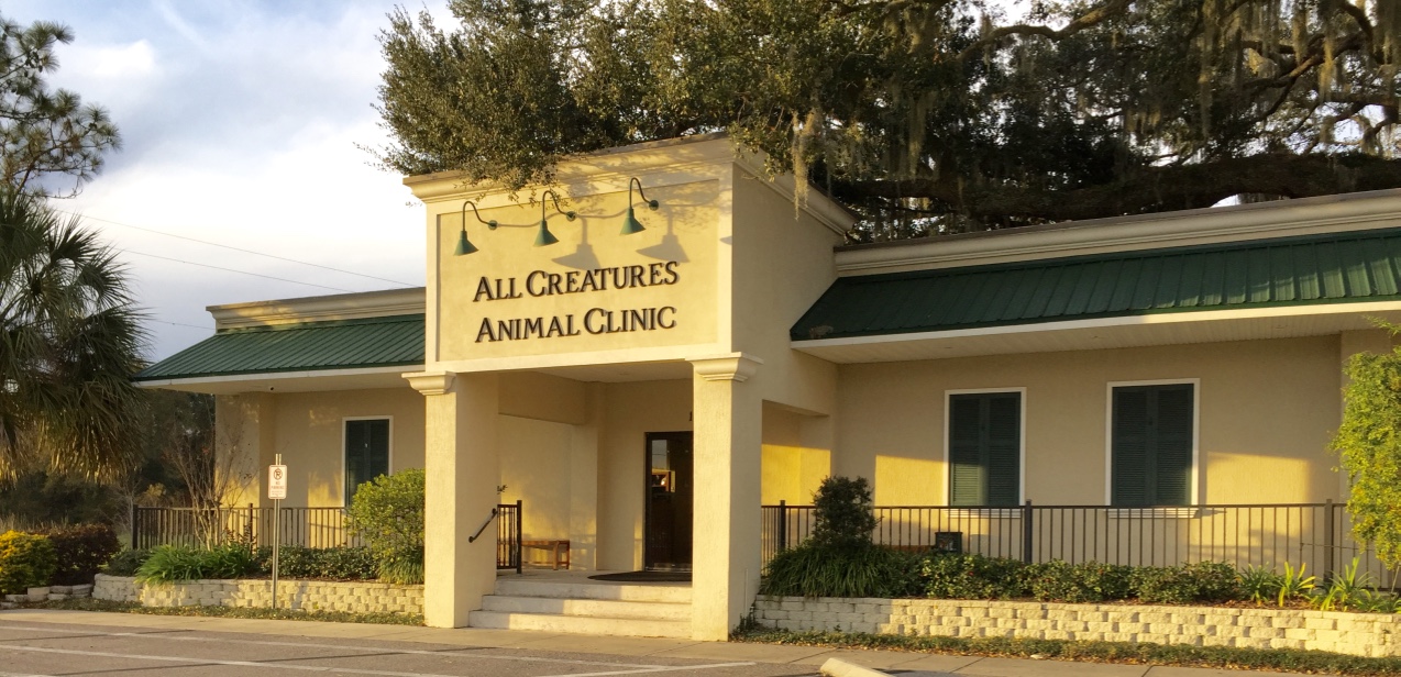 Gallery | All Creatures Animal Clinic Florida