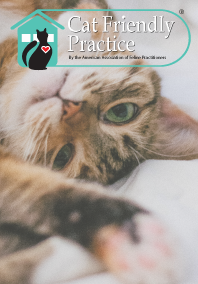 Veterinary Care in Houston, TX | Feline Medical Center