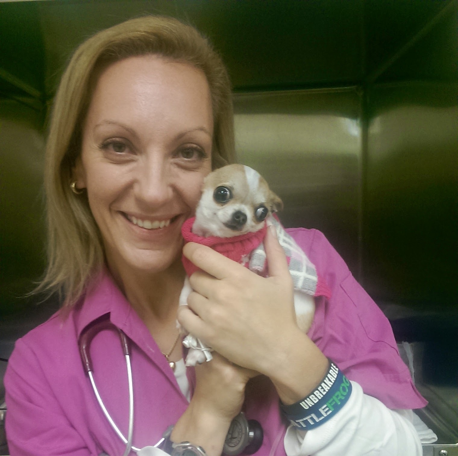 Our Animal Hospital Staff | Blue Cross Animal Hospital