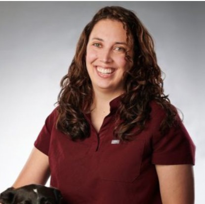 Metropolitan Veterinary Hospital's Staff | Metropolitan Veterinary Hospital