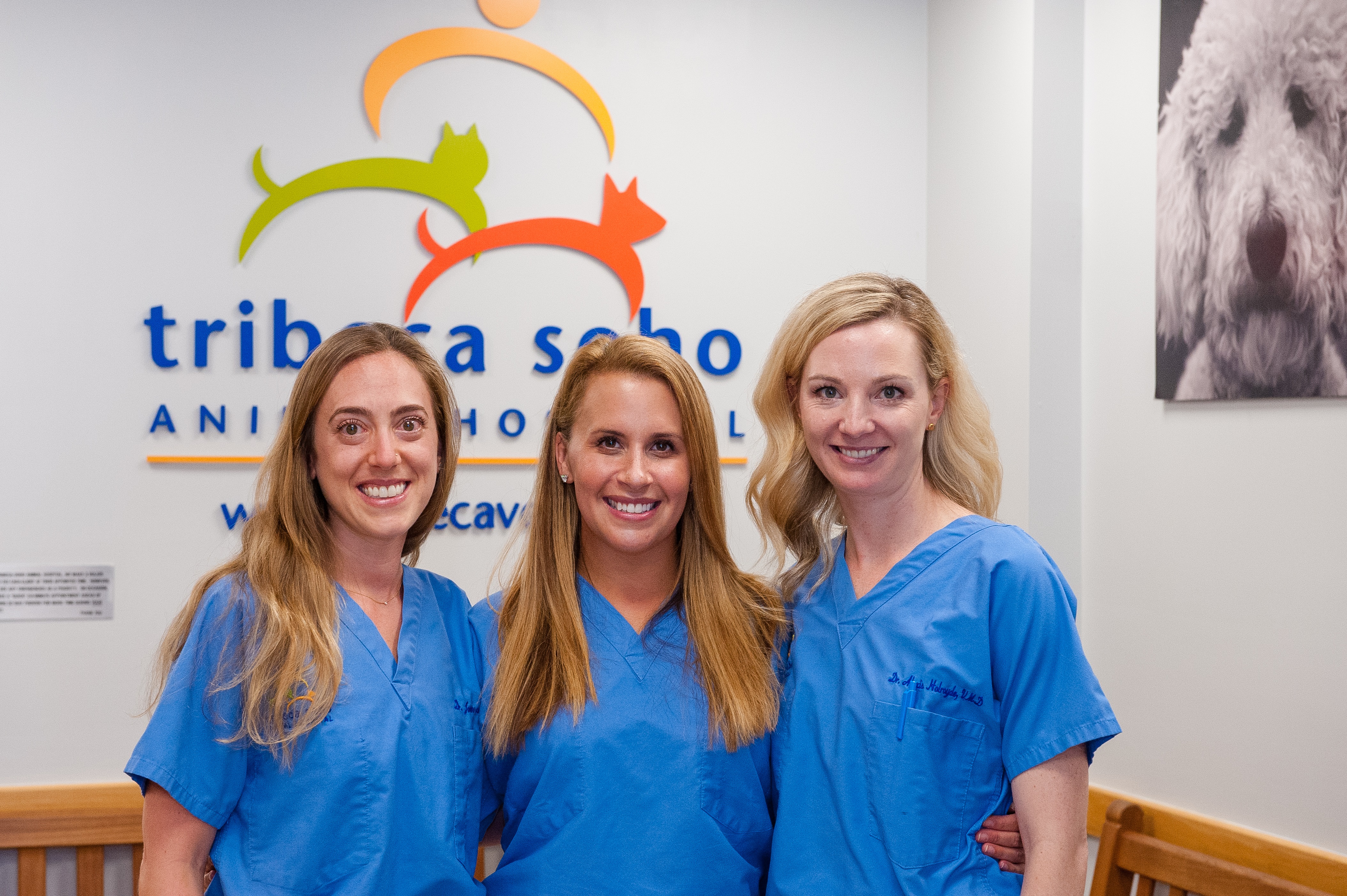 Expert Veterinarian in New York, NY | Tribeca Soho Animal Hospital