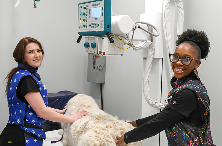 Careers | Eagle Animal Hospital