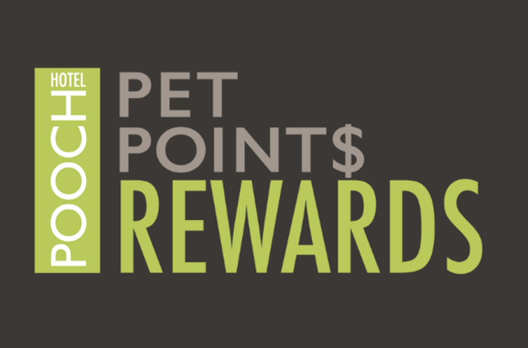 Loyalty Rewards | Pooch Hotel