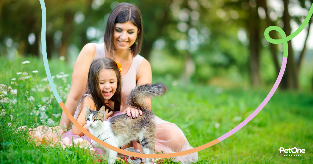 Homepage | Verde Veterinary Hospital