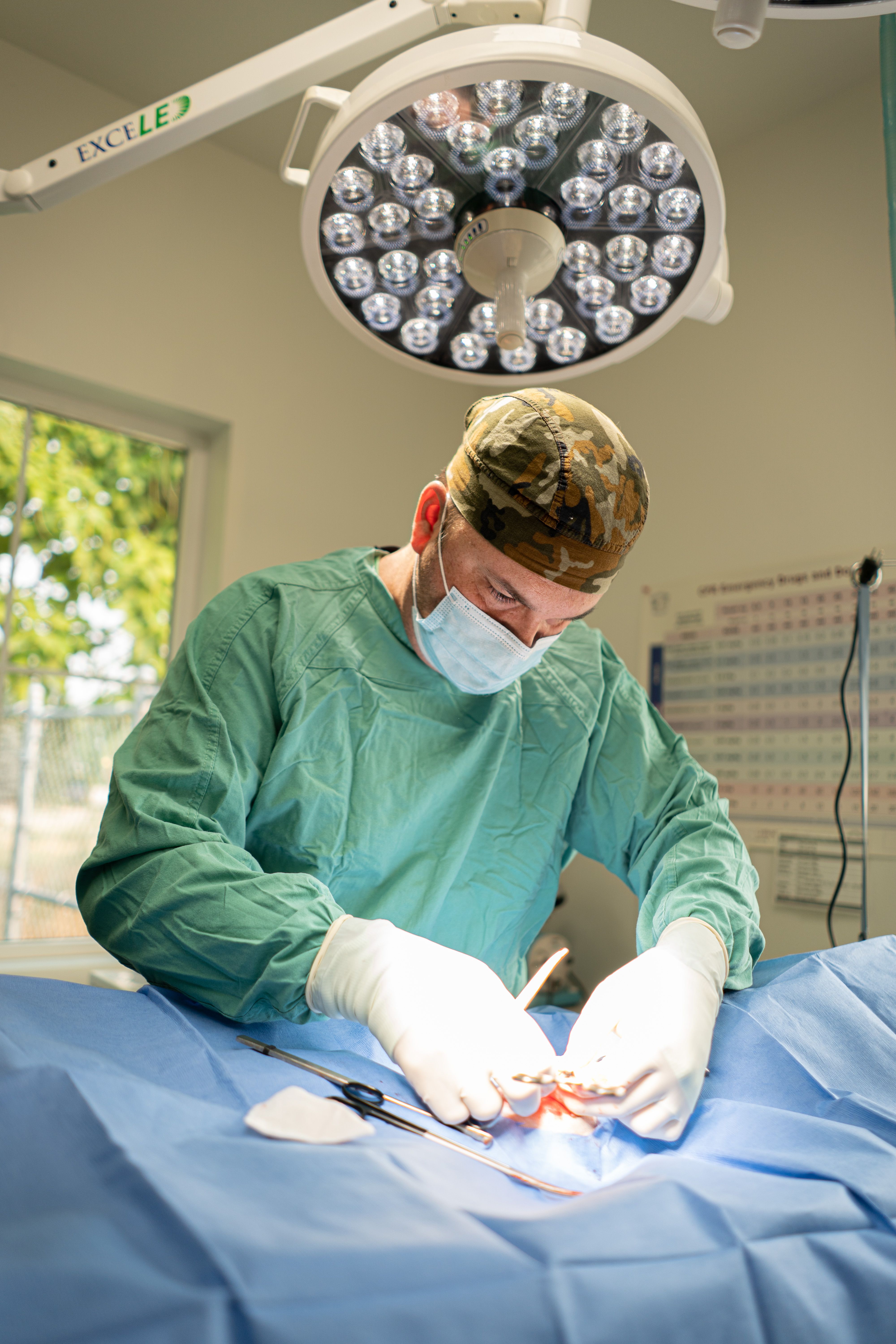 Gallery | Hendricks Veterinary Hospital