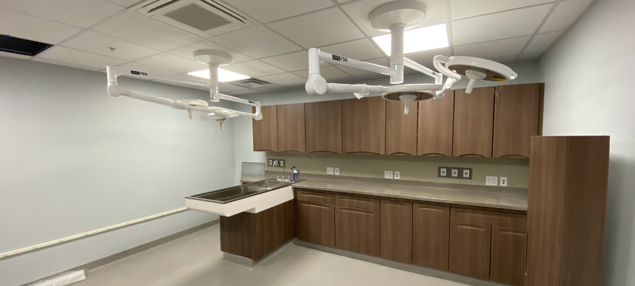 Animal Hospital in West Springfield, MA | Veterinary Emergency ...